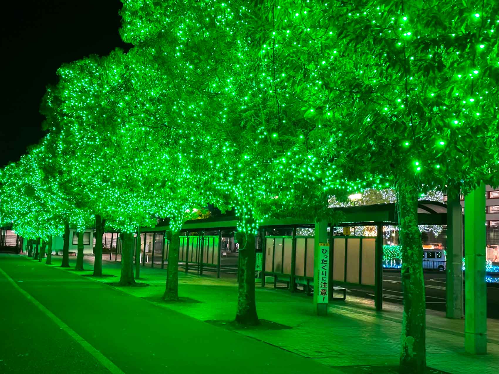 イルミライ★INZAIが今年も開催、初日には点灯式も！千葉NT中央駅周辺、2022年11月12日〜2023年2月19日 | 印西とぴっく